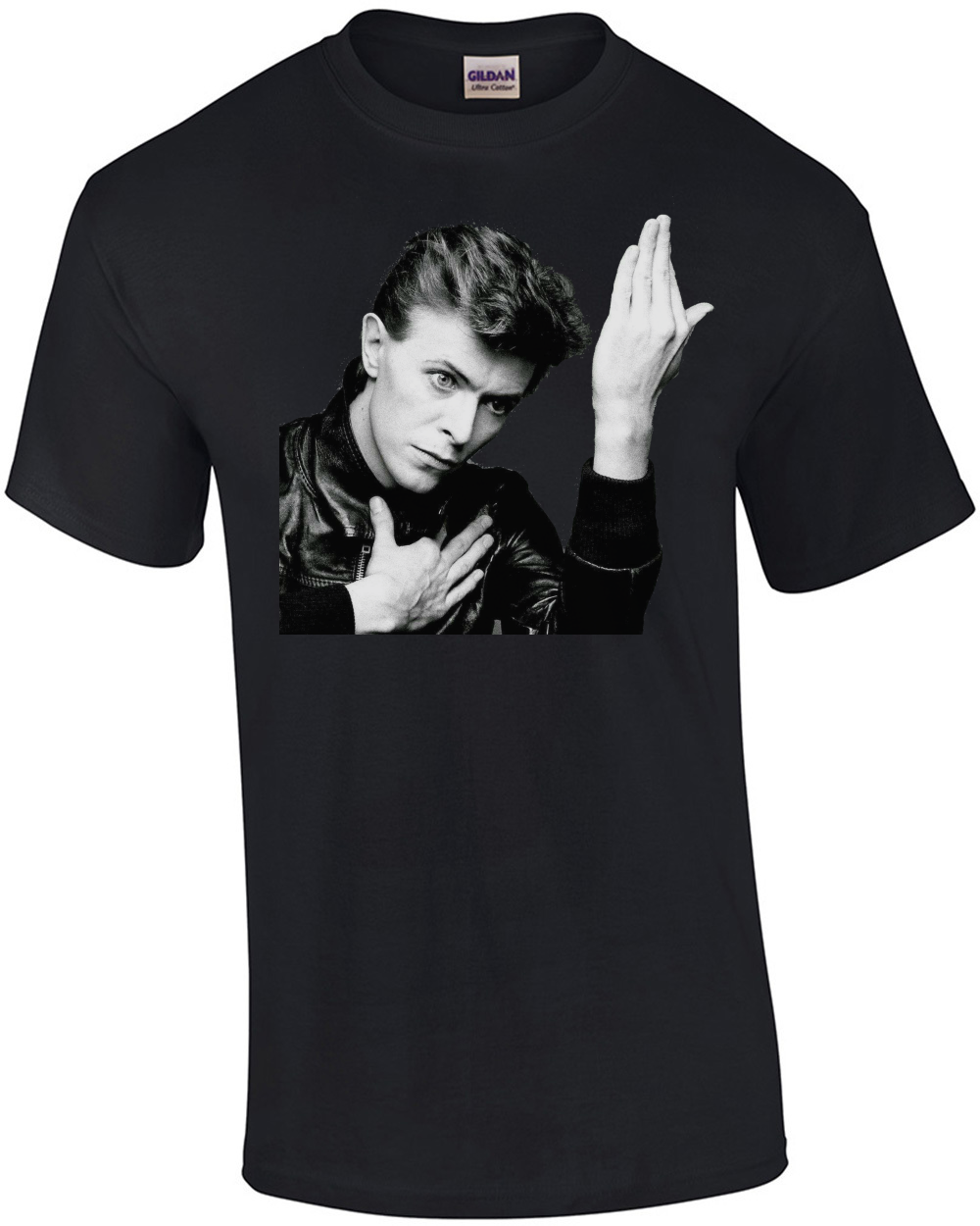 David Bowie Heroes